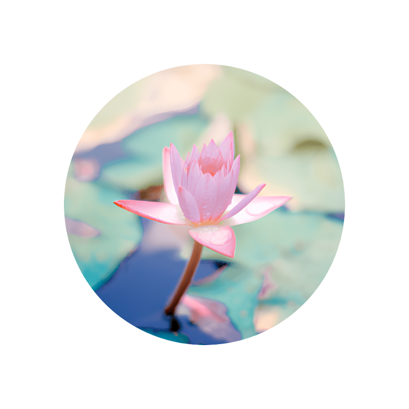 Lilial – perfumiarz.com