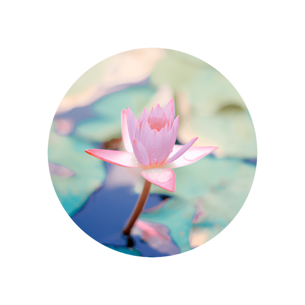 Lilial – perfumiarz.com