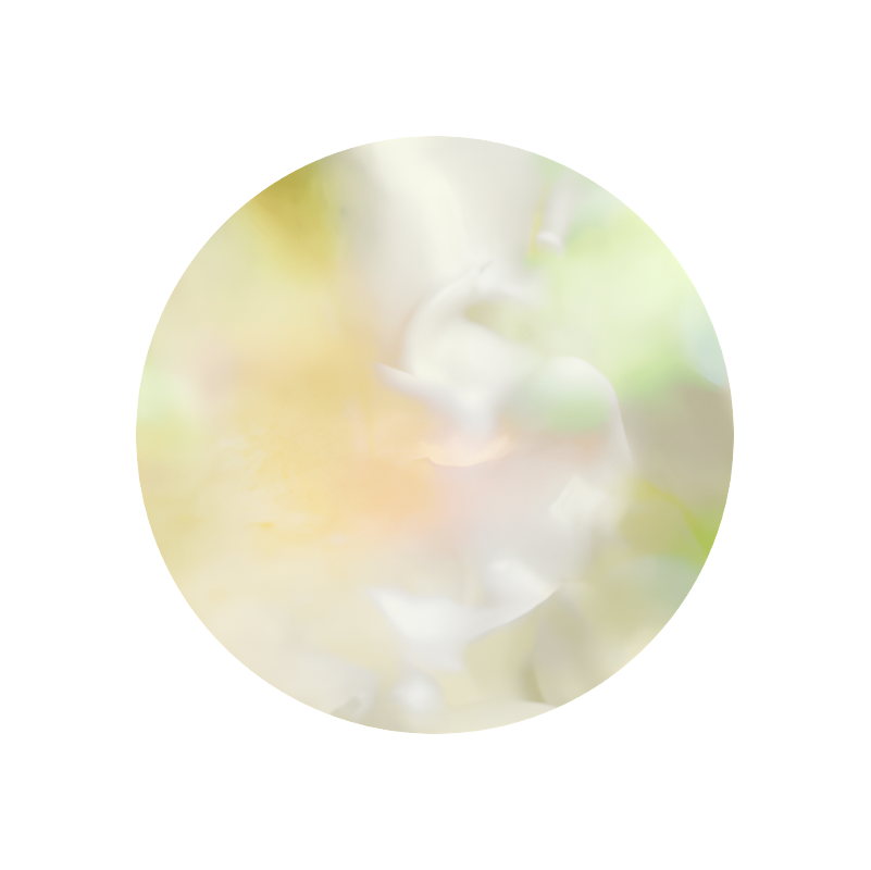 Romandolide – perfumiarz.com